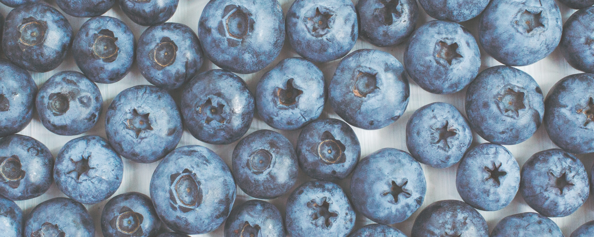 Parks Blueberries - U-Pick Ontario