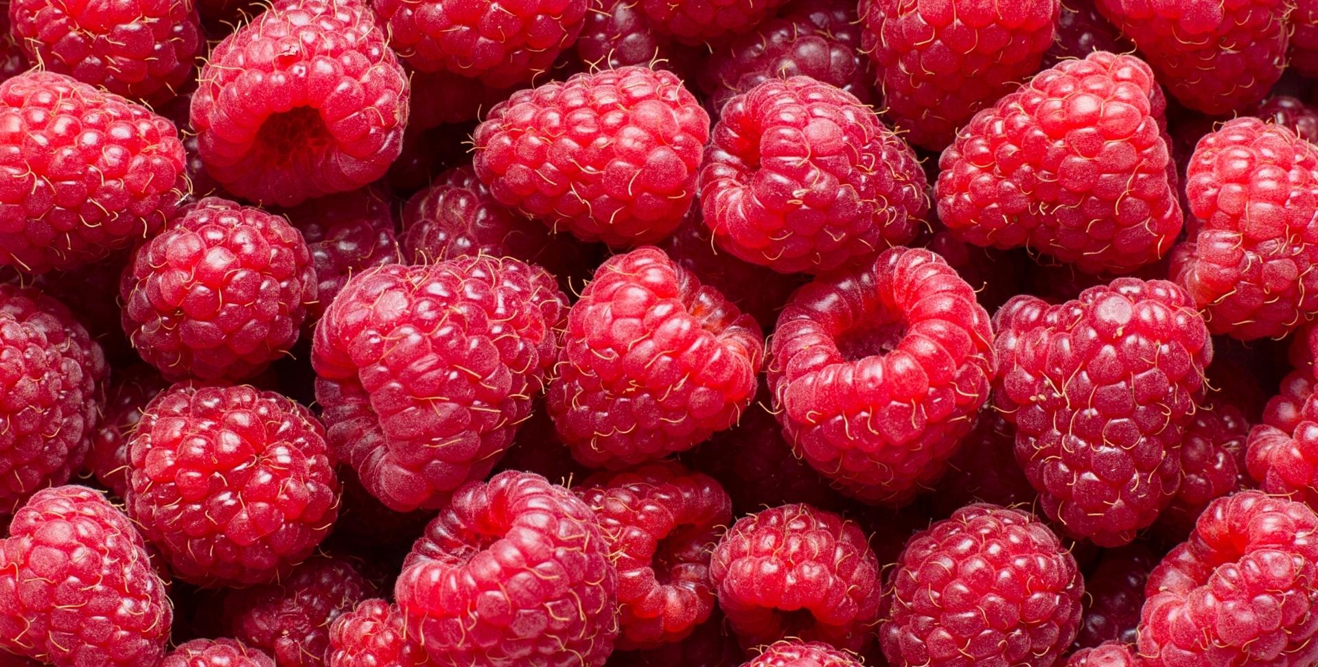 Shouldice Berry Farm & Market Bells Corners - U-Pick Ontario