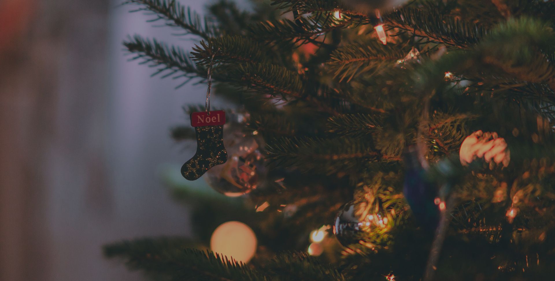 How to Care for Your Christmas Tree and Stay Safe