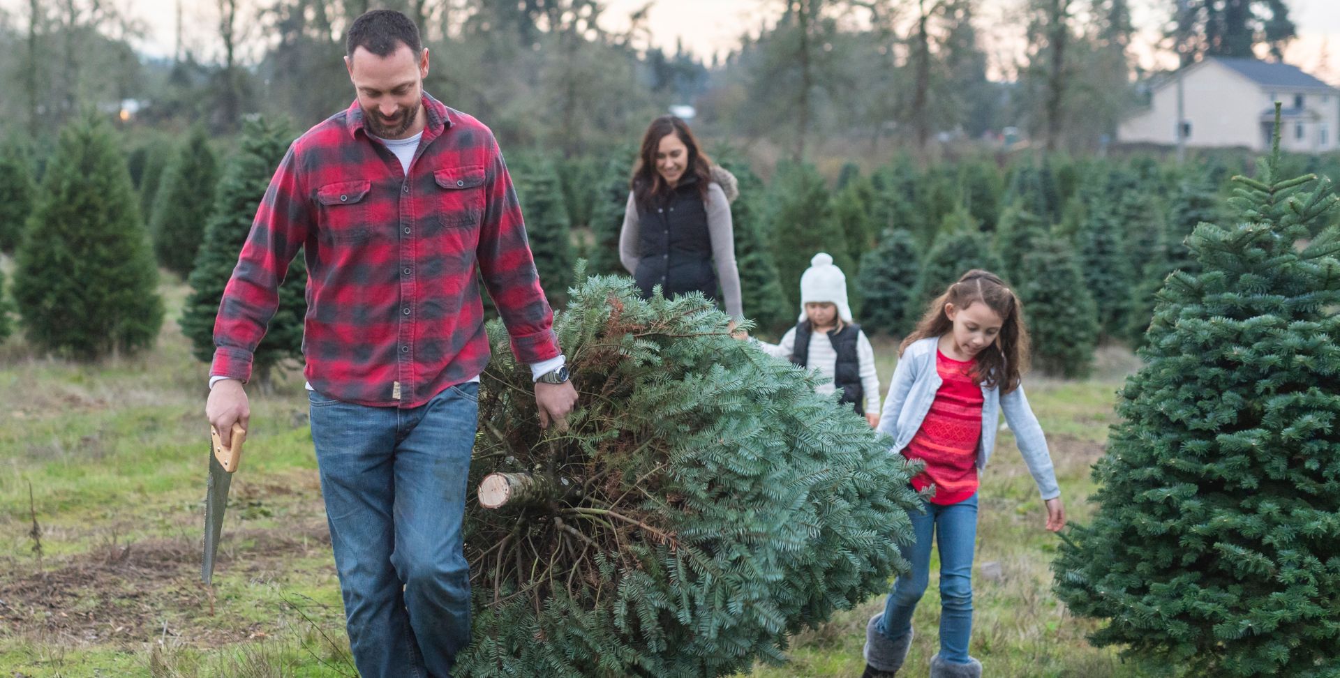 Make This Year’s Holiday Truly Canadian! Pick Your Own Christmas Tree ...